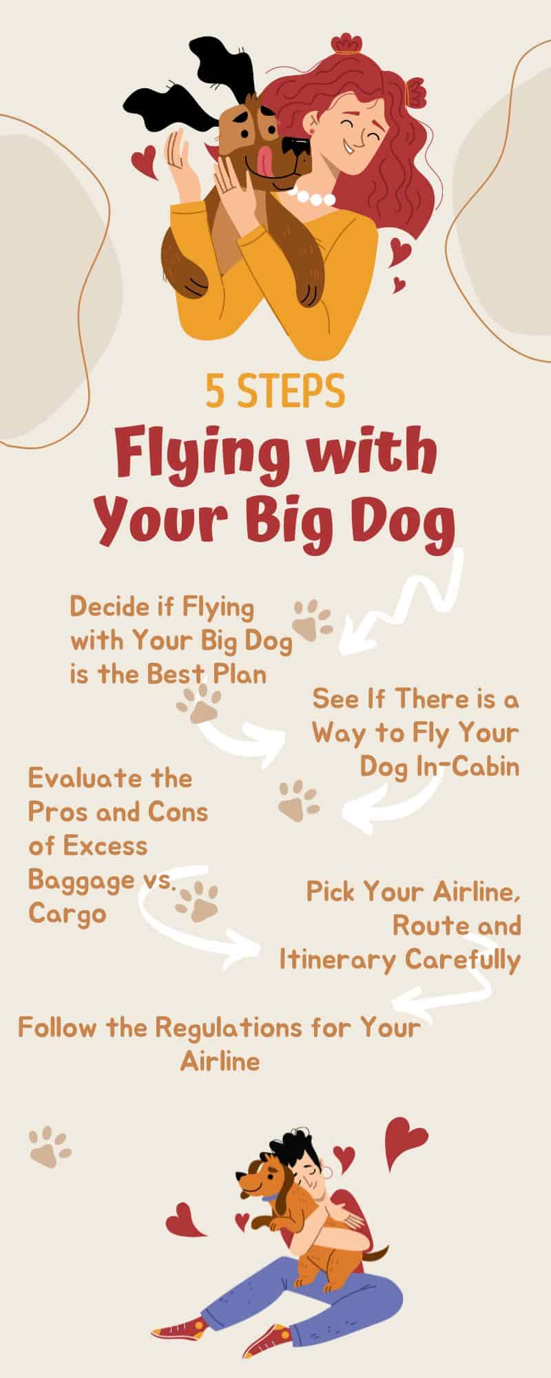 Flying With A Big Dog: Travel Tips For Ease & Safety - Pets Around the ...