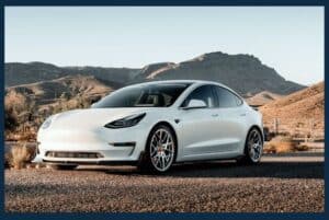 Dog-Friendly Joshua Tree: A Complete Guide + A Great One Day Park ...