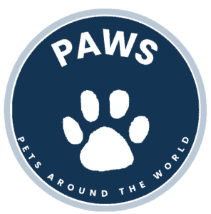 Flying With a Dog under the Airplane Seat: The Ultimate Guide - Pets ...