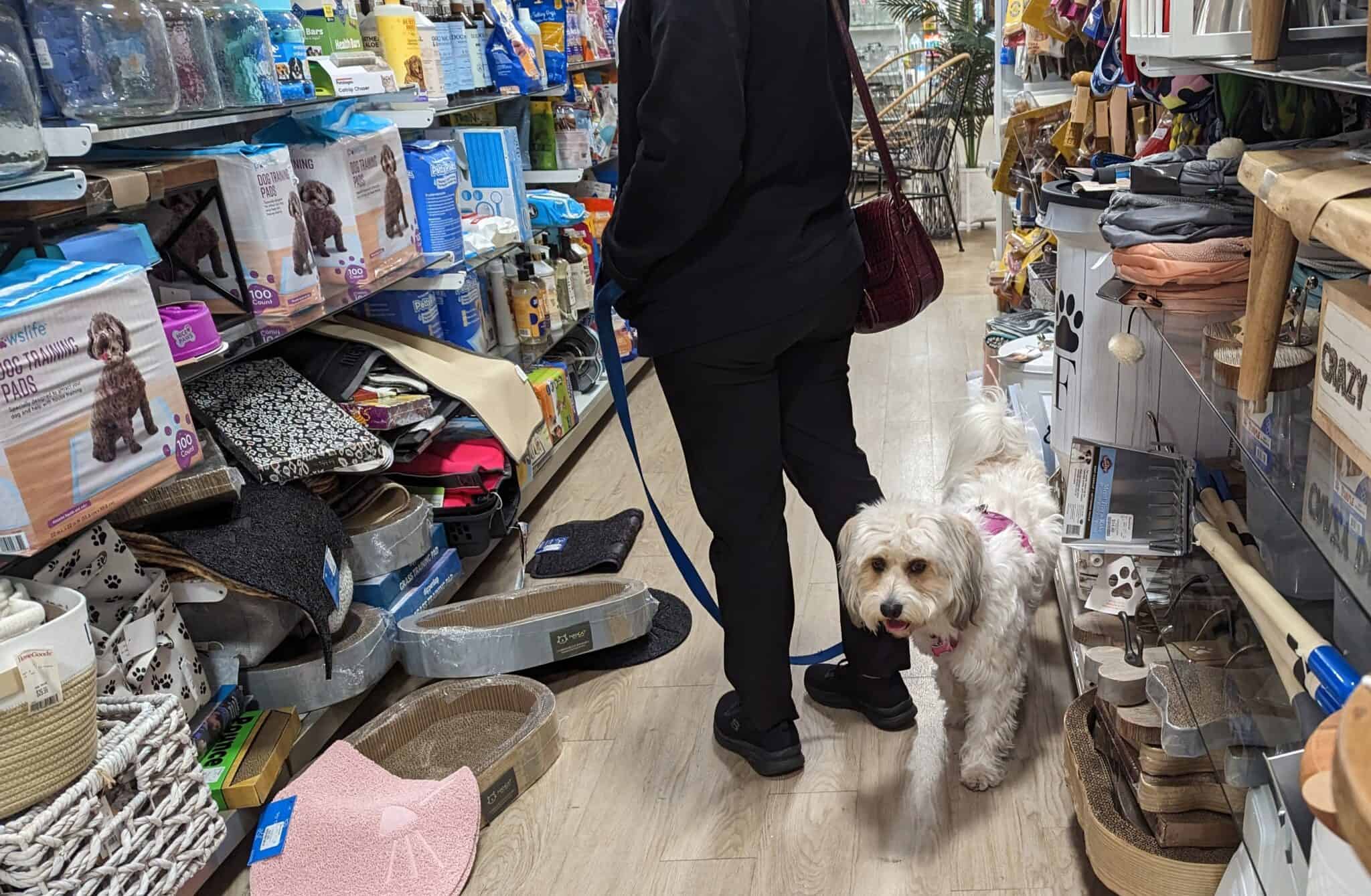 TJ Maxx Dog Friendly - What is their pet policy? [2024] - Pets Around ...