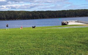 19 Best Dog Friendly Beaches in Maine - Pets Around the World