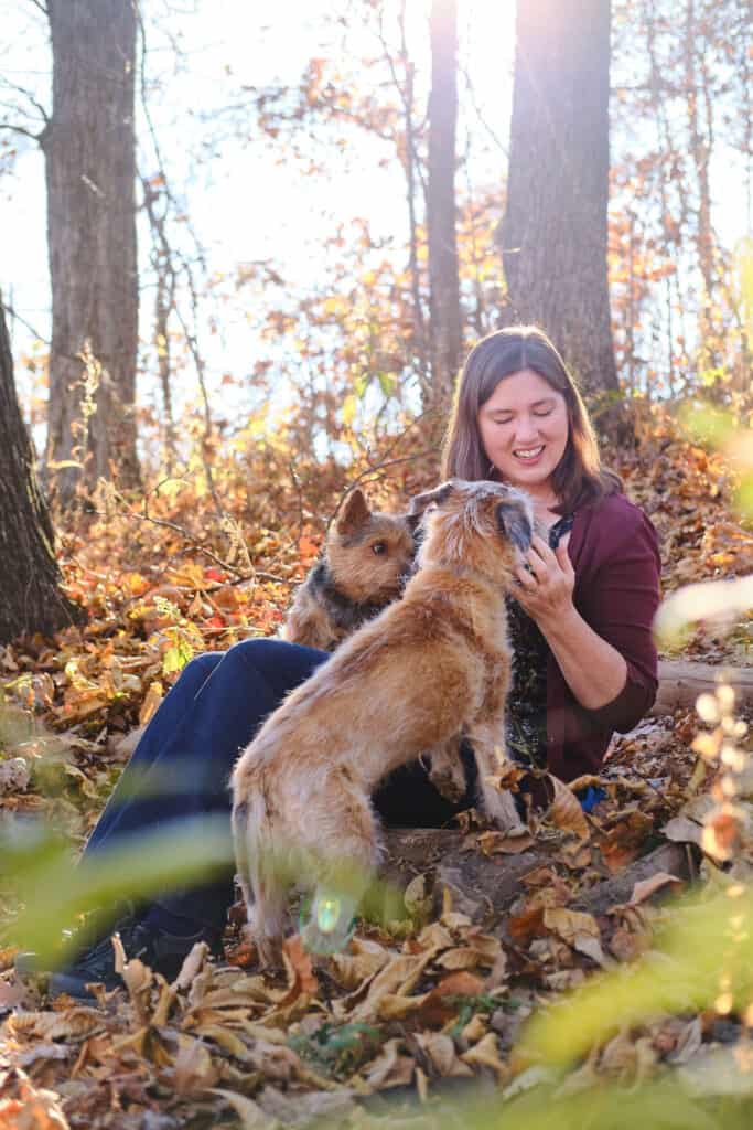 Traveling Cross Country with a Dog: Great Travel Hacks + Guide - Pets ...