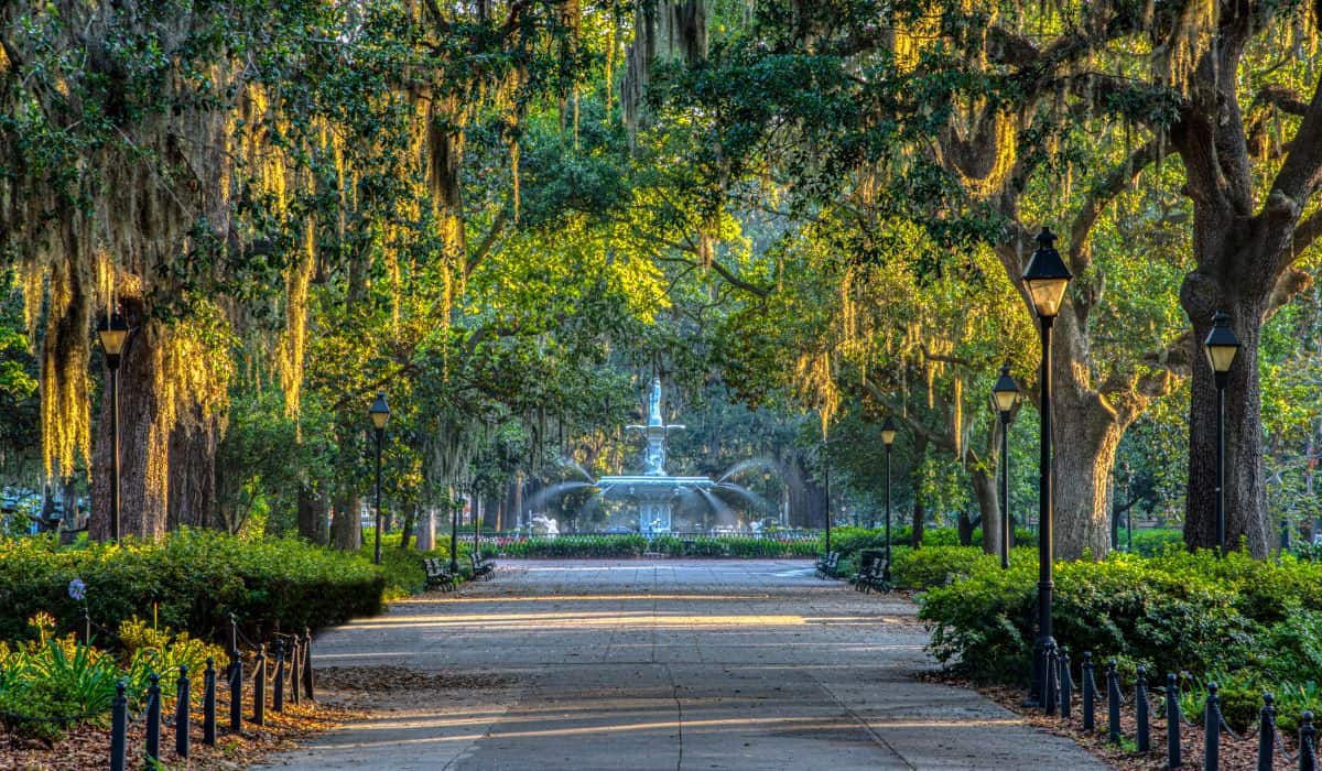 Dog Friendly Savannah: A Local's Guide - Pets Around the World