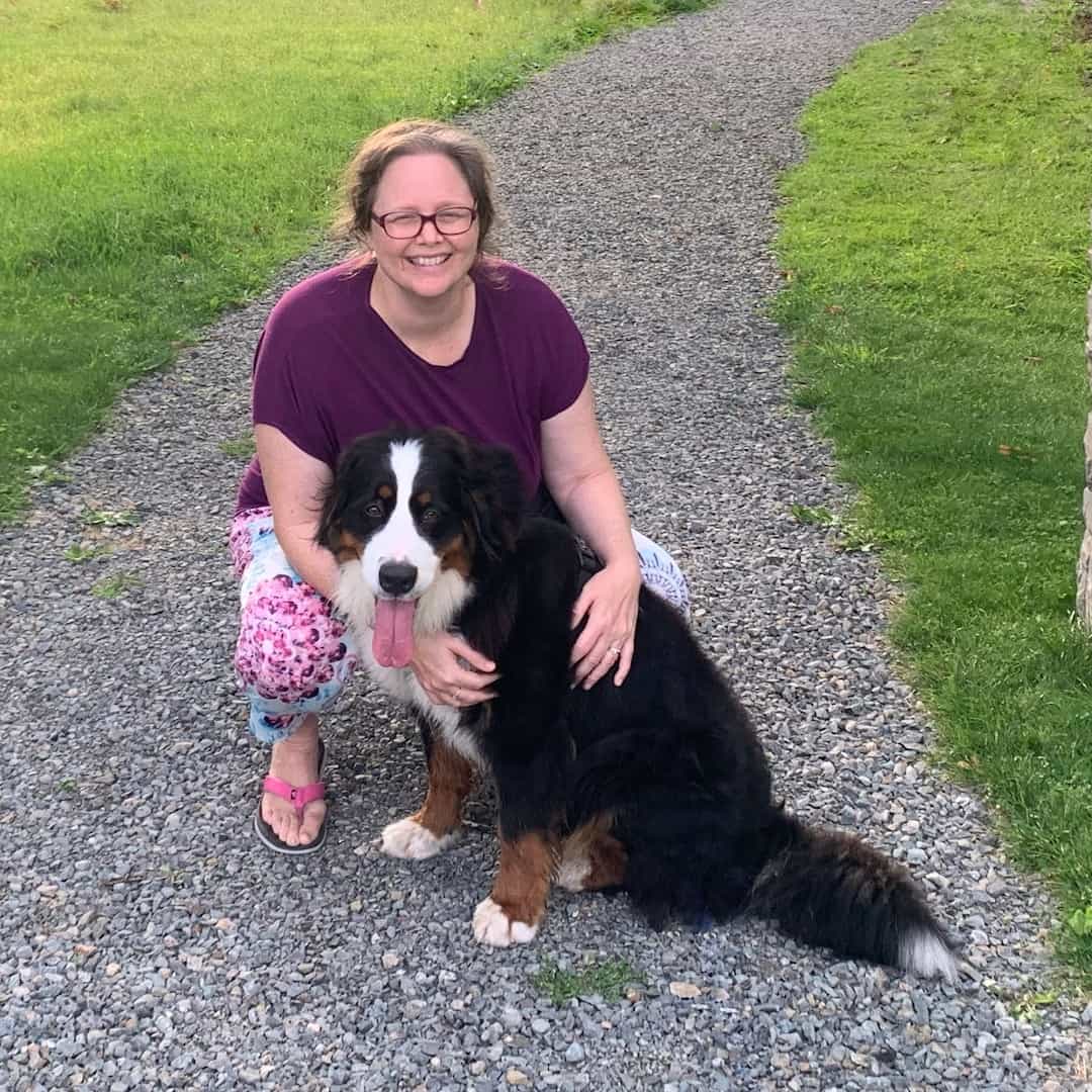Dog Friendly Nova Scotia: The Ultimate Guide By a Local - Pets Around ...