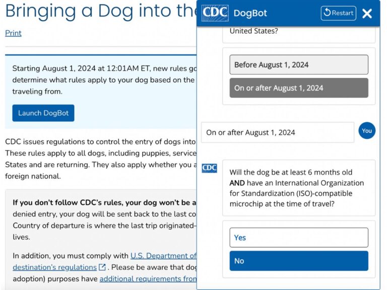 Traveling Abroad with Your Dog? New United States CDC Rules You Can’t ...